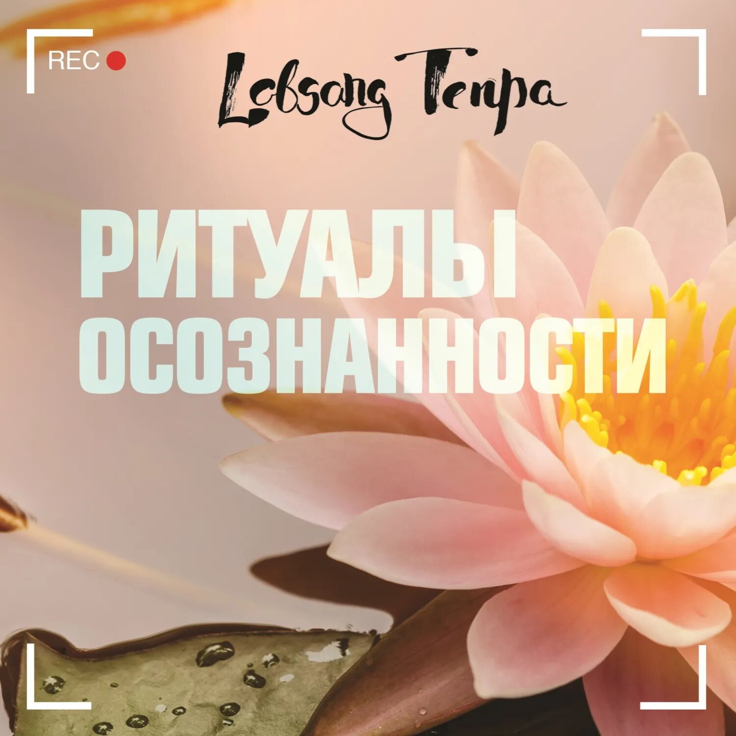 Ритуалы осознанности [Аудиокнига]