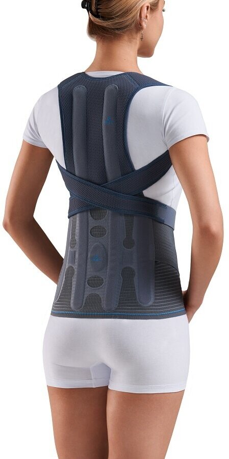 ORLETT Х0112050 Модуль грудопоясничный для BS-222 (1) Dorsal (Универсальный / Стандартная)