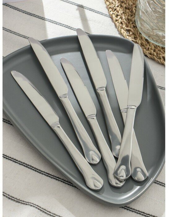 Набор ножей столовых из нержавеющей стали Доляна «Капля», длина 23 см, 6 шт, серебристый