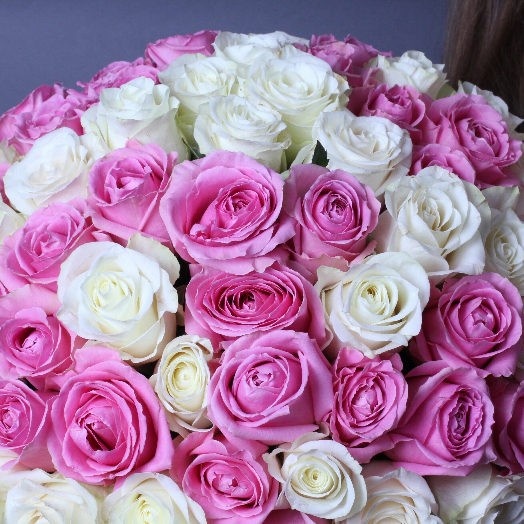 Композиция микс из 55 розовых и белых роз в шляпной коробке .