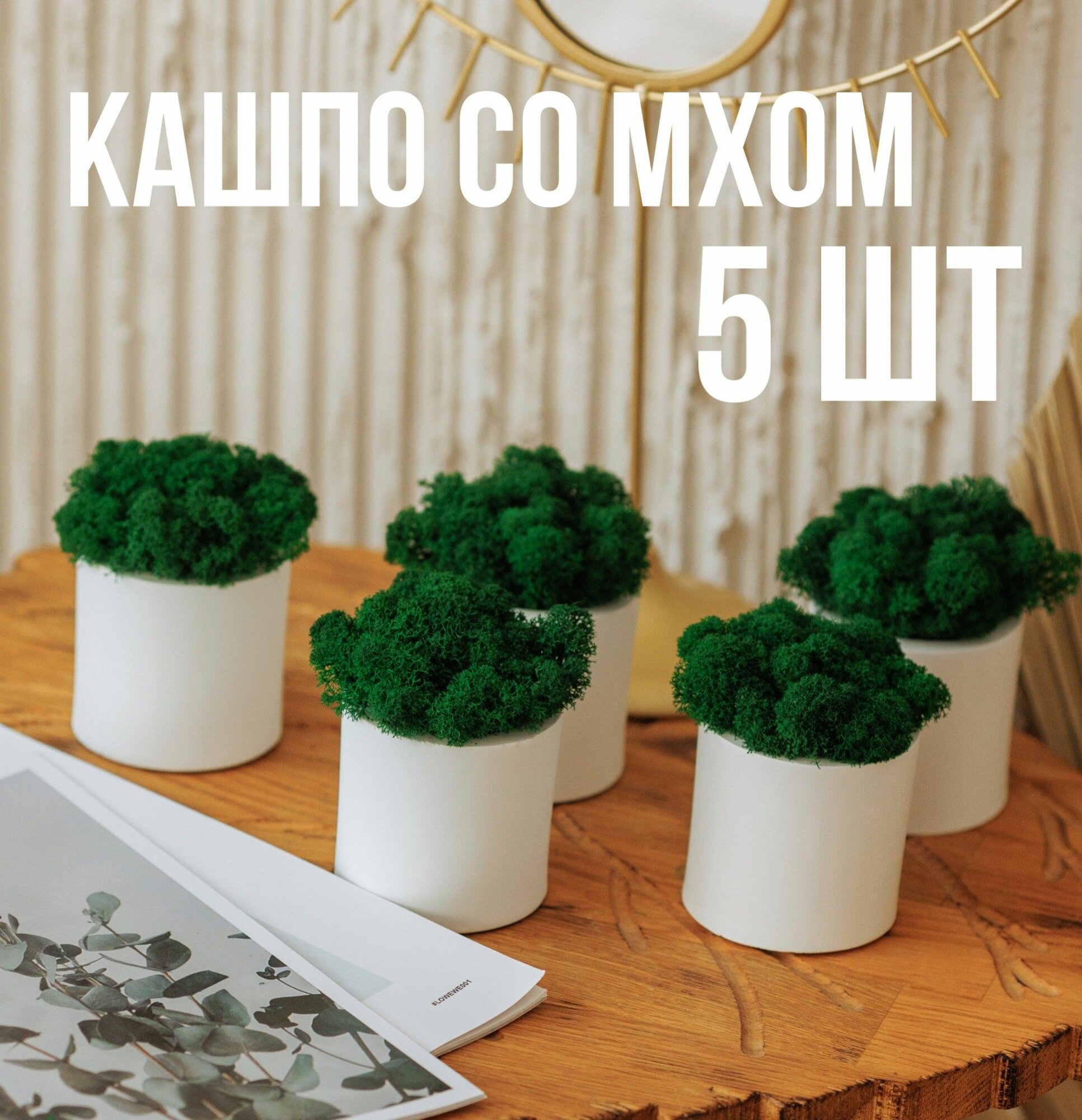 Набор ваз 5 шт из гипса со стабилизированным мхом для цветов сухоцветов настольный