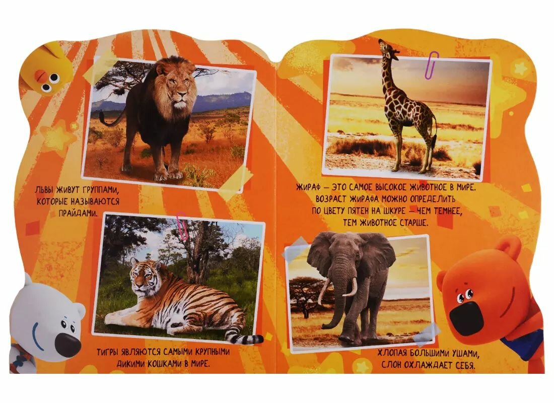 Ми-ми-мишки. Животный мир