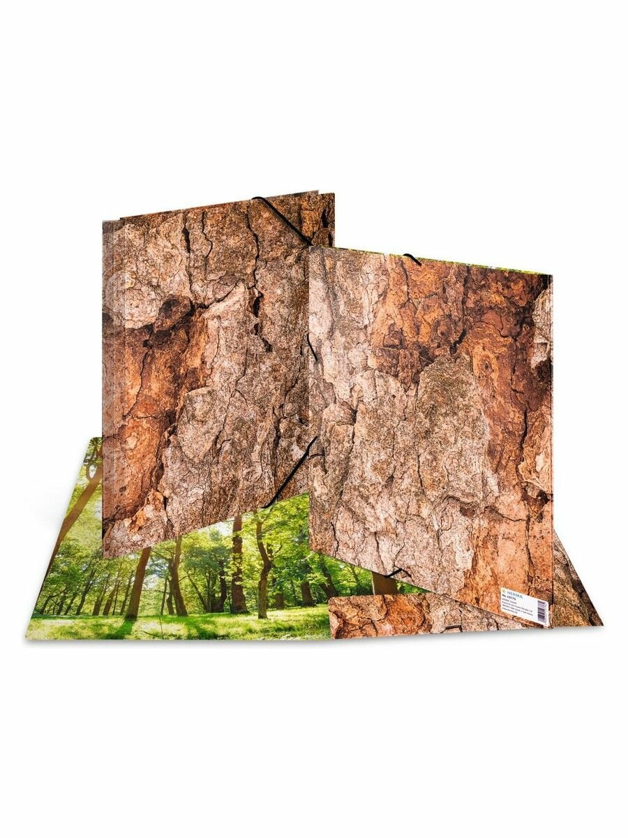 Папка для документов картон А4 на резинке