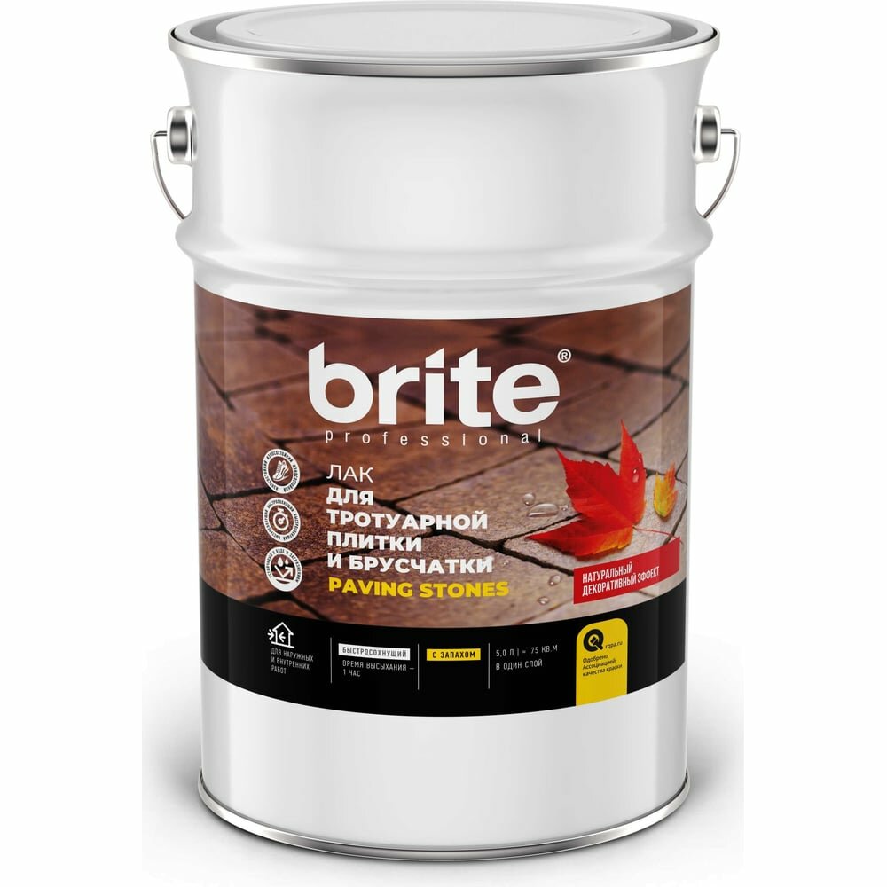 Лак для тротуарной плитки камня и брусчатки BRITE PROFESSIONAL