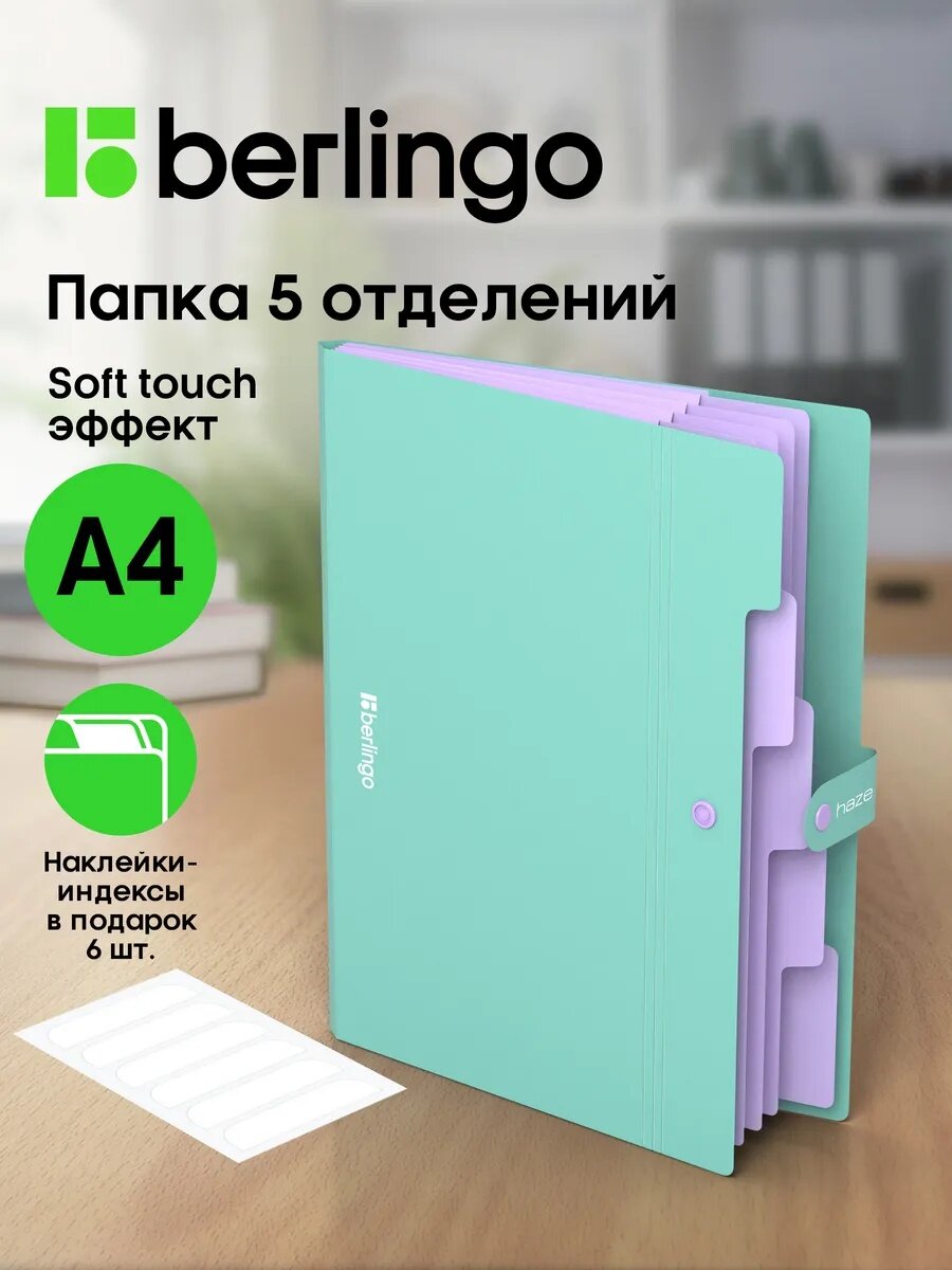 Папка органайзер для документов А4, органайзер 5 отделений, семейная, на кнопке