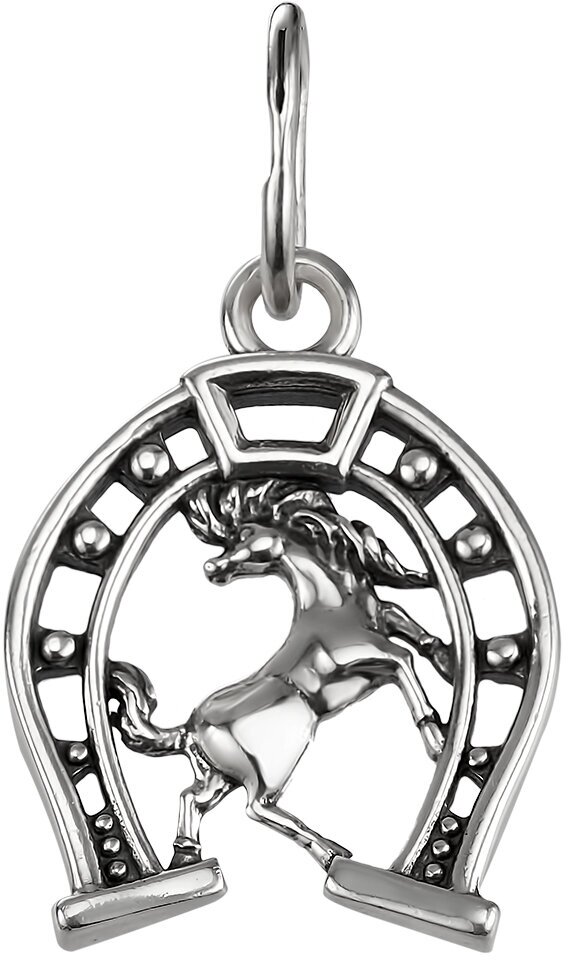 Подвеска, серебро, 925 проба, чернение