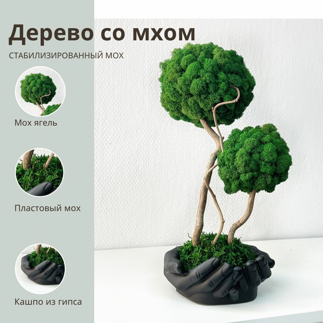Дерево со мхом 40 см, Бонсай стабилизированный мох, настольный декор Дерево жизни, китайское дерево