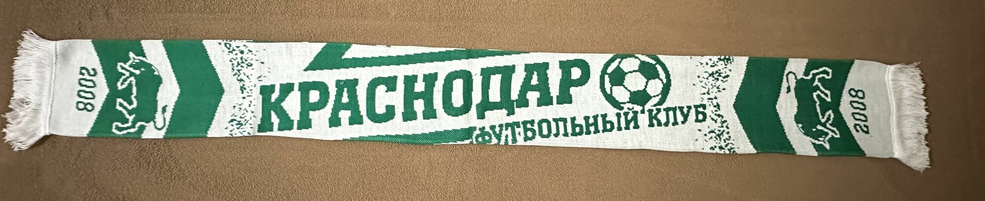 Шарф  Базовая коллекция для мужчин и женщин,140х14 см, универсальный, зеленый/черный — фото 1