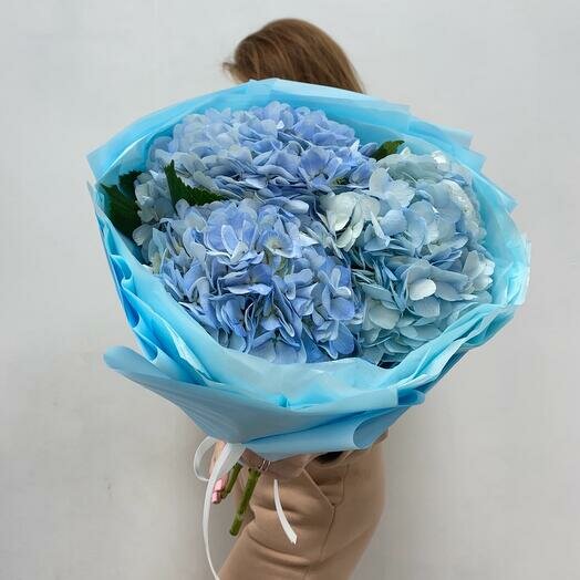 Монобукет Boom Bouquet, из 3 голубых гортензий, высота 45см, в пленке