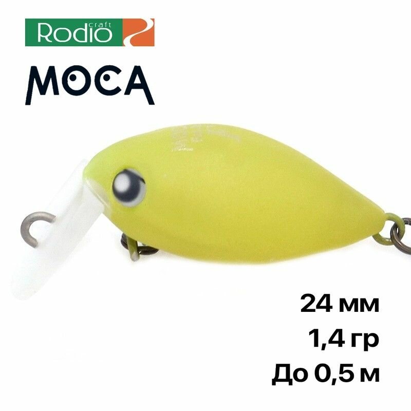 Воблер форелевый Rodio Craft Fat Moca Jr SR F, 24 мм, 1,4 гр, #31