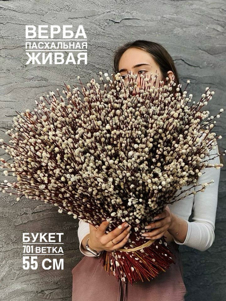Огромный букет из вербы 701 ветка. Живая верба пасхальная