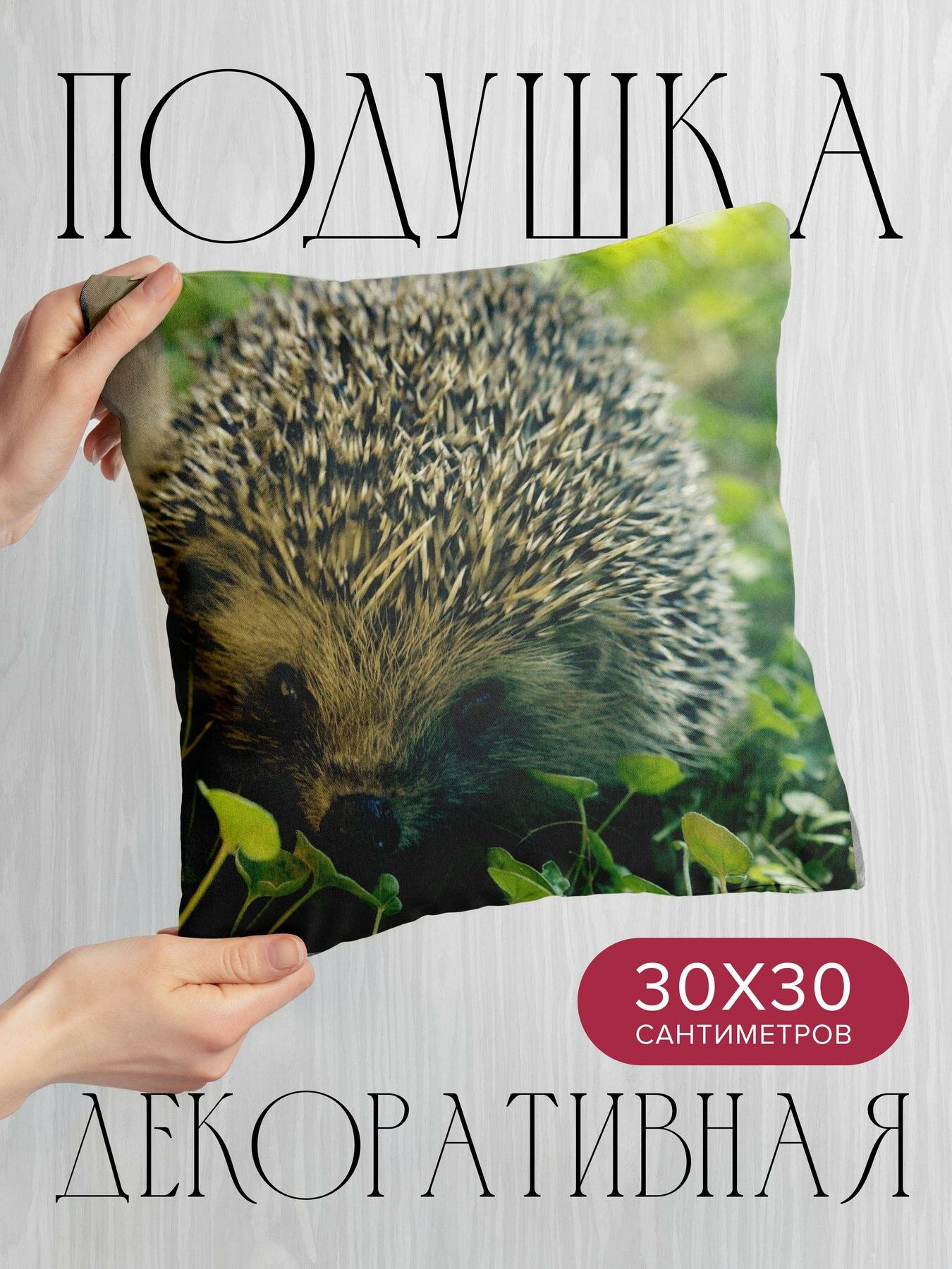Подушка декоративная, 30x30см / Животные / ежик / иголки