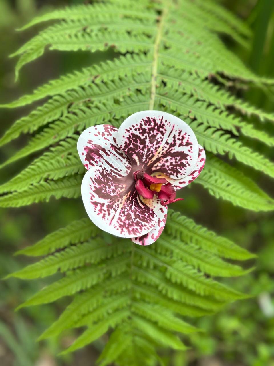 Брошь - заколка женская для волос, зажим, крокодил. Брошка женская с реалистичным цветком орхидея. Свадебная бутоньерка.