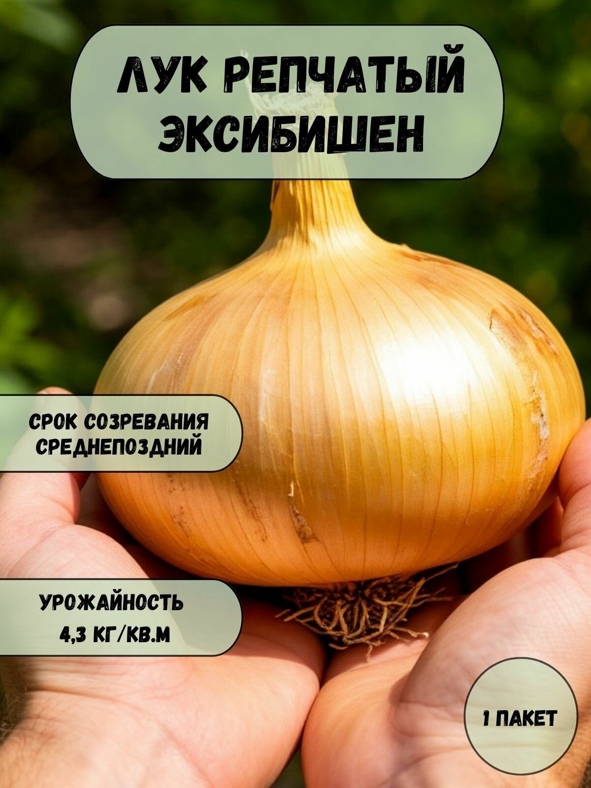 Лук Эксибишен семена 10 шт