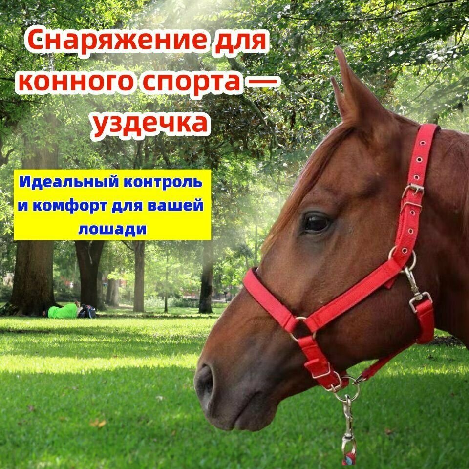 Конные виды спорта, уздечка для лошадей, предотвращает натирание кожи, L (высота 1.3м-1.6м), черная