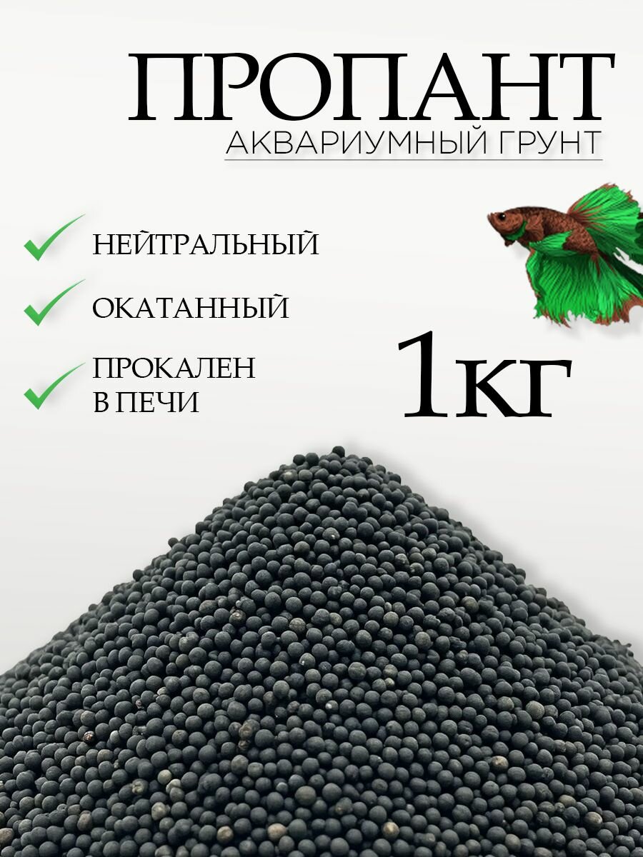 Пропант для аквариума, Голландский