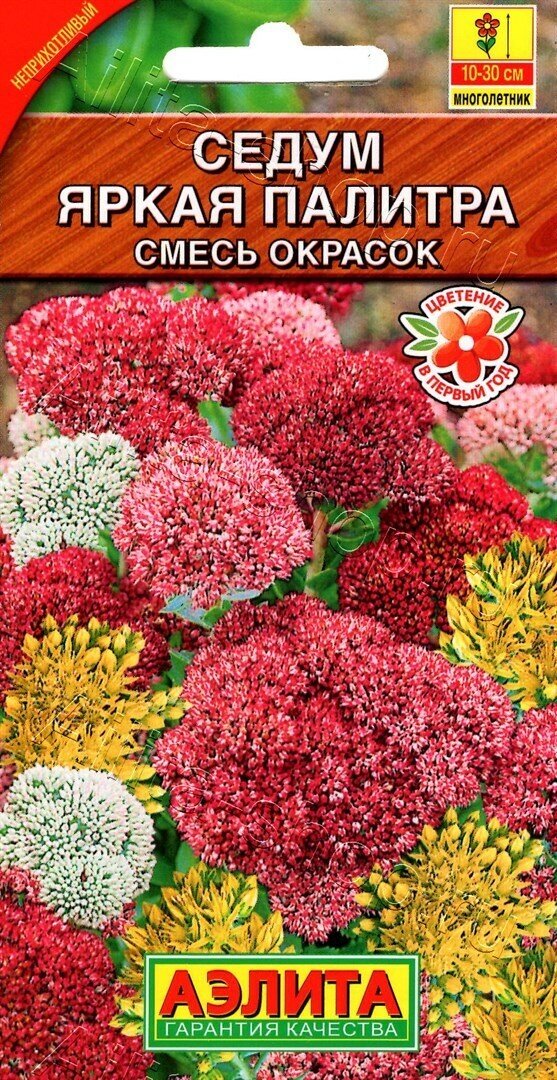 Семена Седум Яркая палитра, смесь сортов (0,01 г), Агрофирма Аэлита