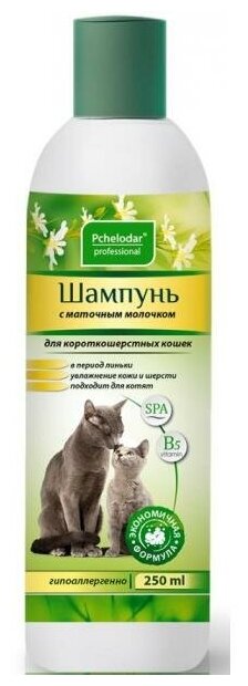 Агробиопром Шампунь гигиенический с маточным молочком для короткошерстных кошек 250мл