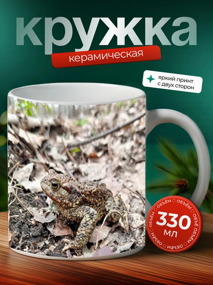 Кружка Жаба земноводное 3,
