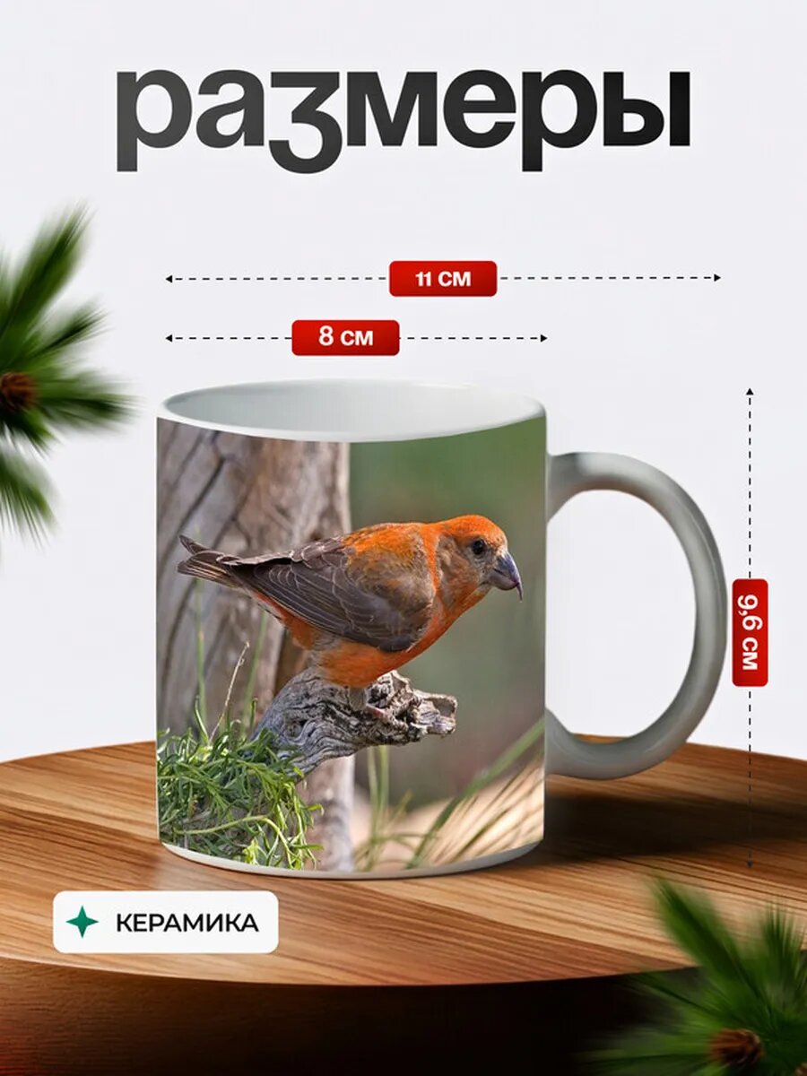 Кружка Клёст птица 21, — фото 1