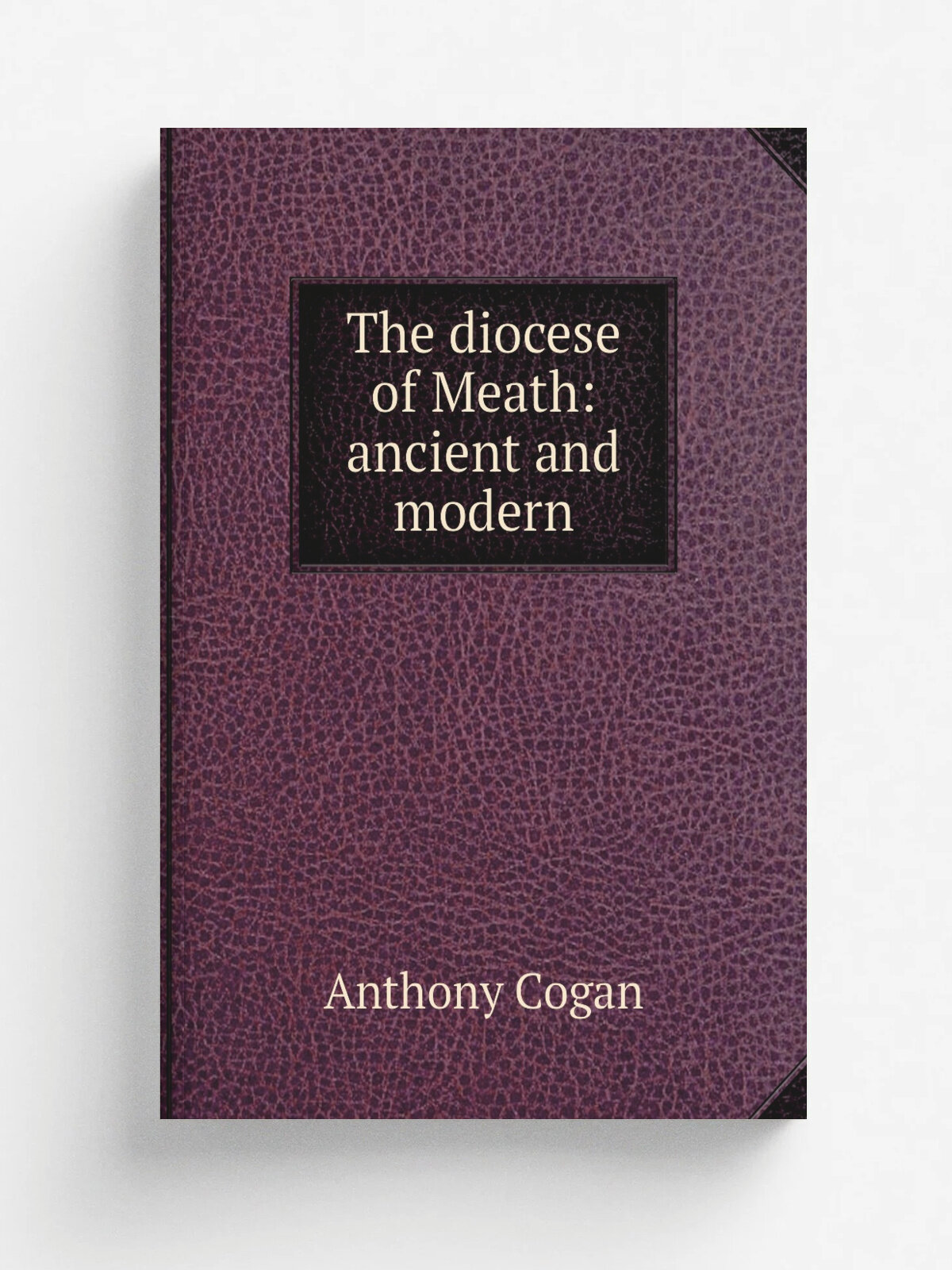 The diocese of Meath: ancient and modern | Anthony Cogan | Репринт