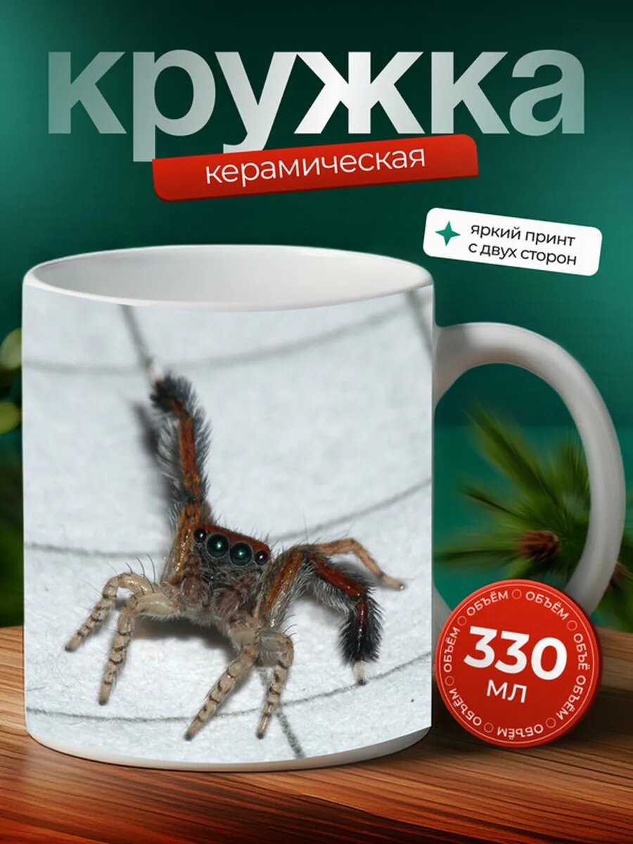 Кружка Амирок паук паукообразное 15,
