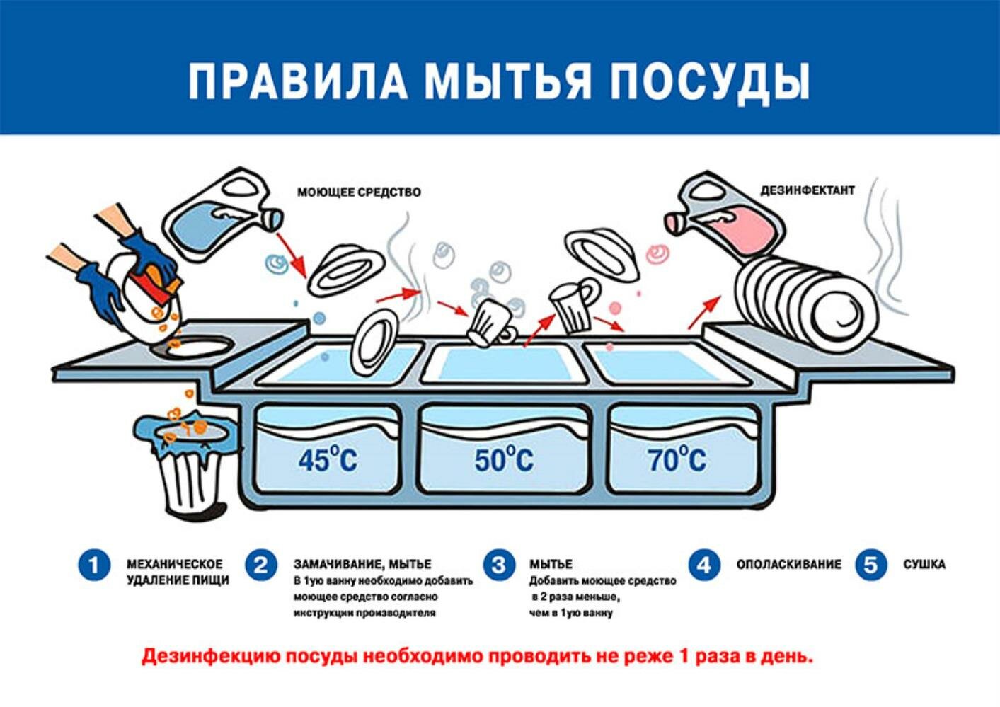 Плакат "Правила мытья посуды" (размер 42 x 30 см)