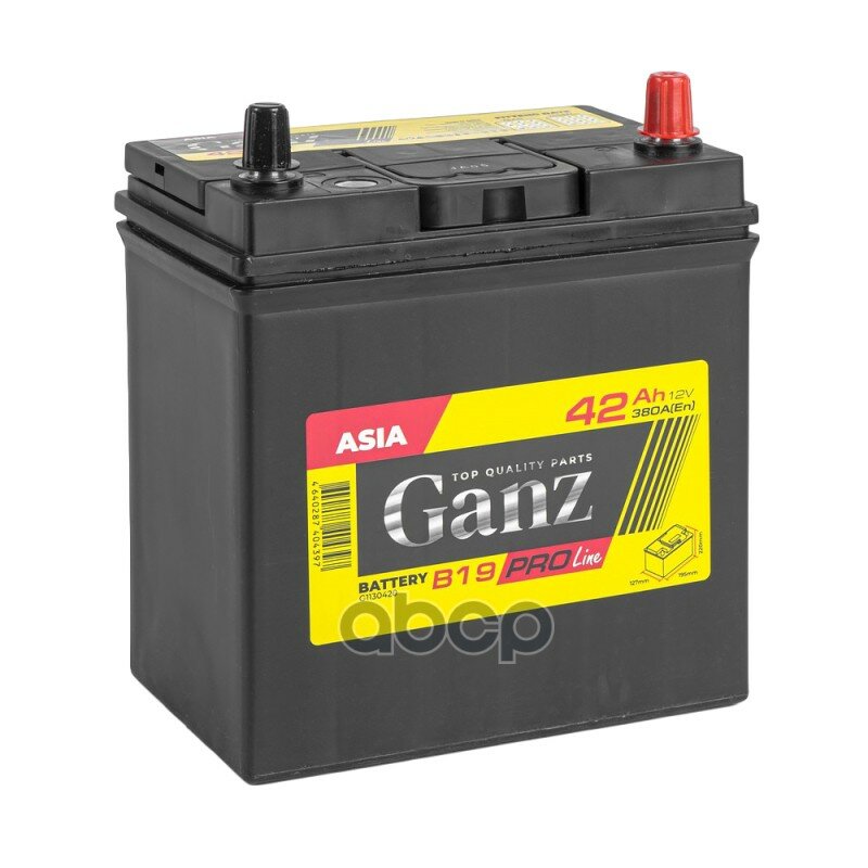 Аккумулятор GANZ PRO-Line JIS 42 А/ч обратный R+ 195x127x220 B19 EN 380 А GANZ арт. G1130420
