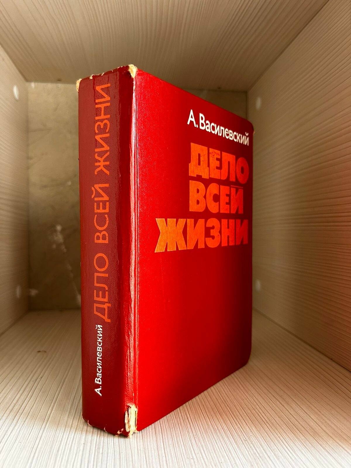 Дело всей жизни