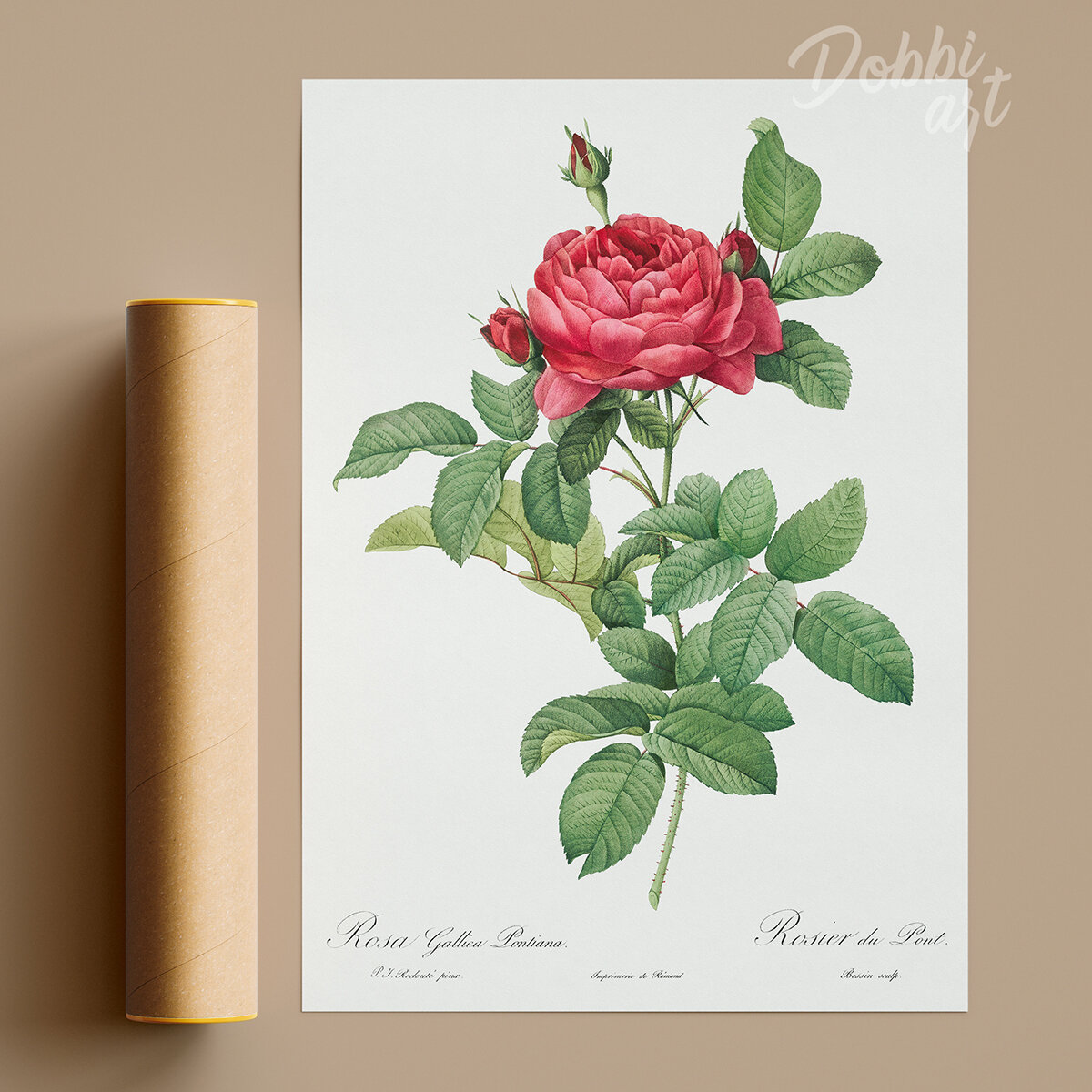 Постер Роза винтажный 50х70 см без рамы/ Розы, цветы, винтаж, минимализм/ Постер для дома, интерьера, декор на стену, Плакат интерьерный, подарок девушке