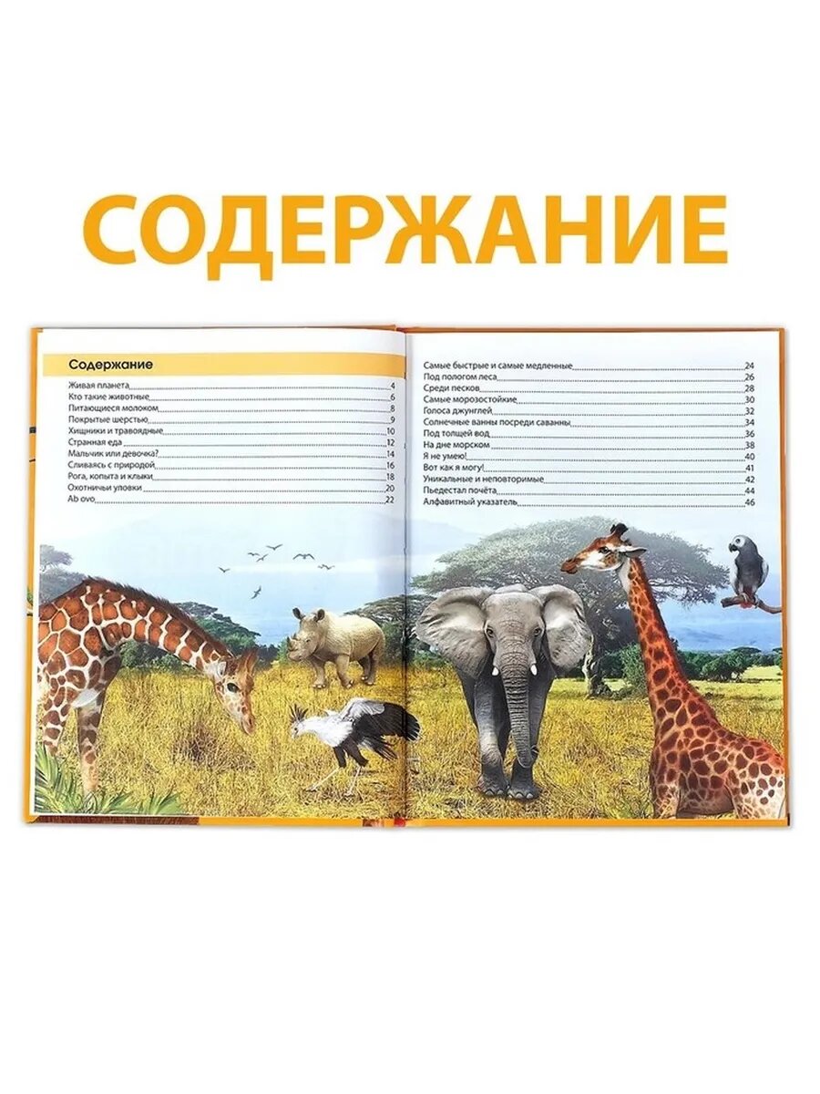 Удивительная энциклопедия о животных для всей семьи