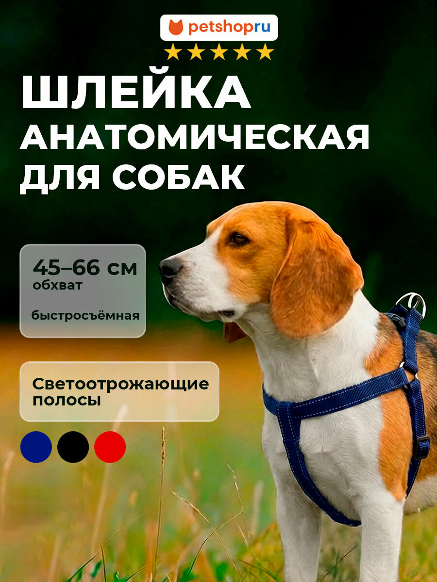 PETSHOP Шлейка для собак "Турбо", обхват 45-66 см, синяя