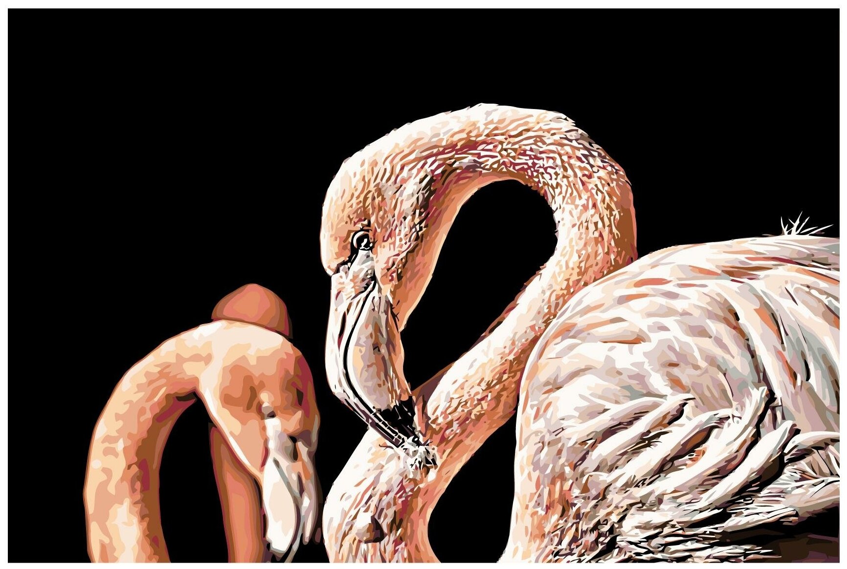 Пара розовых фламинго Раскраска картина по номерам на холсте