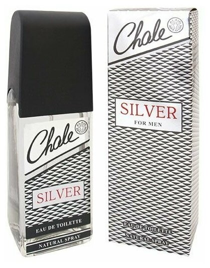 ALAIN AREGON (Positive parfum) Туалетная вода мужская CHALE SILVER 100мл