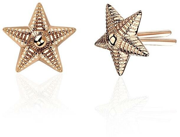 Знак различия ВС, серебро, 925 проба, золочение