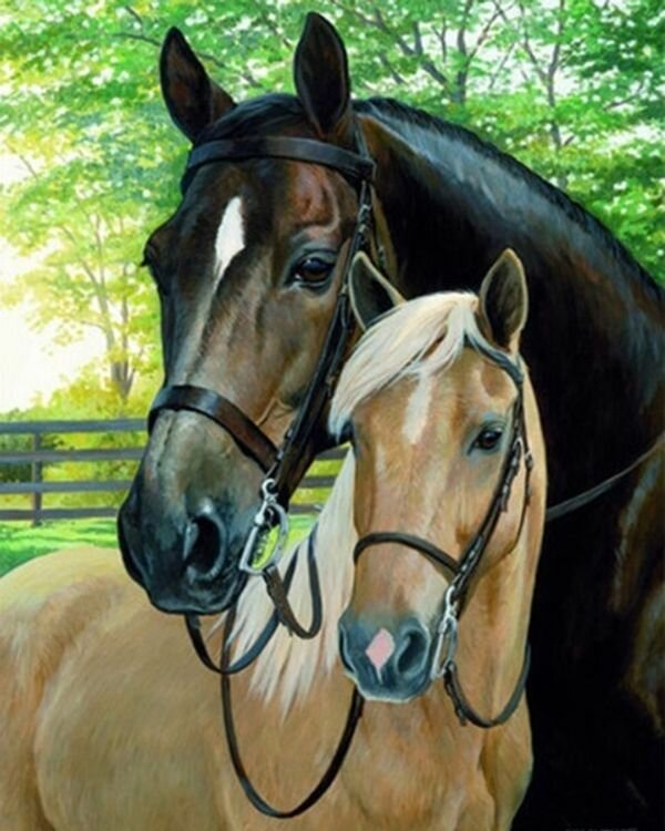 Картина по номерам на холсте 40х50 / на подрамнике / Две лошади Животные Пейзаж