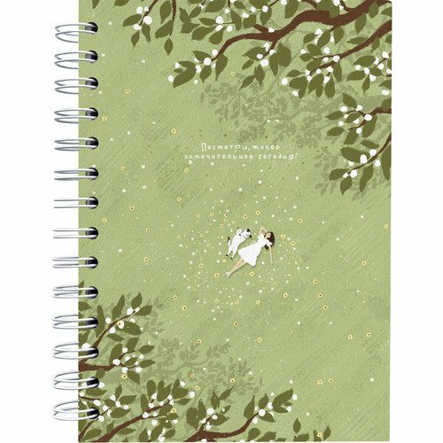Тетрадь общая Be Smart Soul, 144х204 мм, 120 л, клетка, твердый переплет, спираль, сад