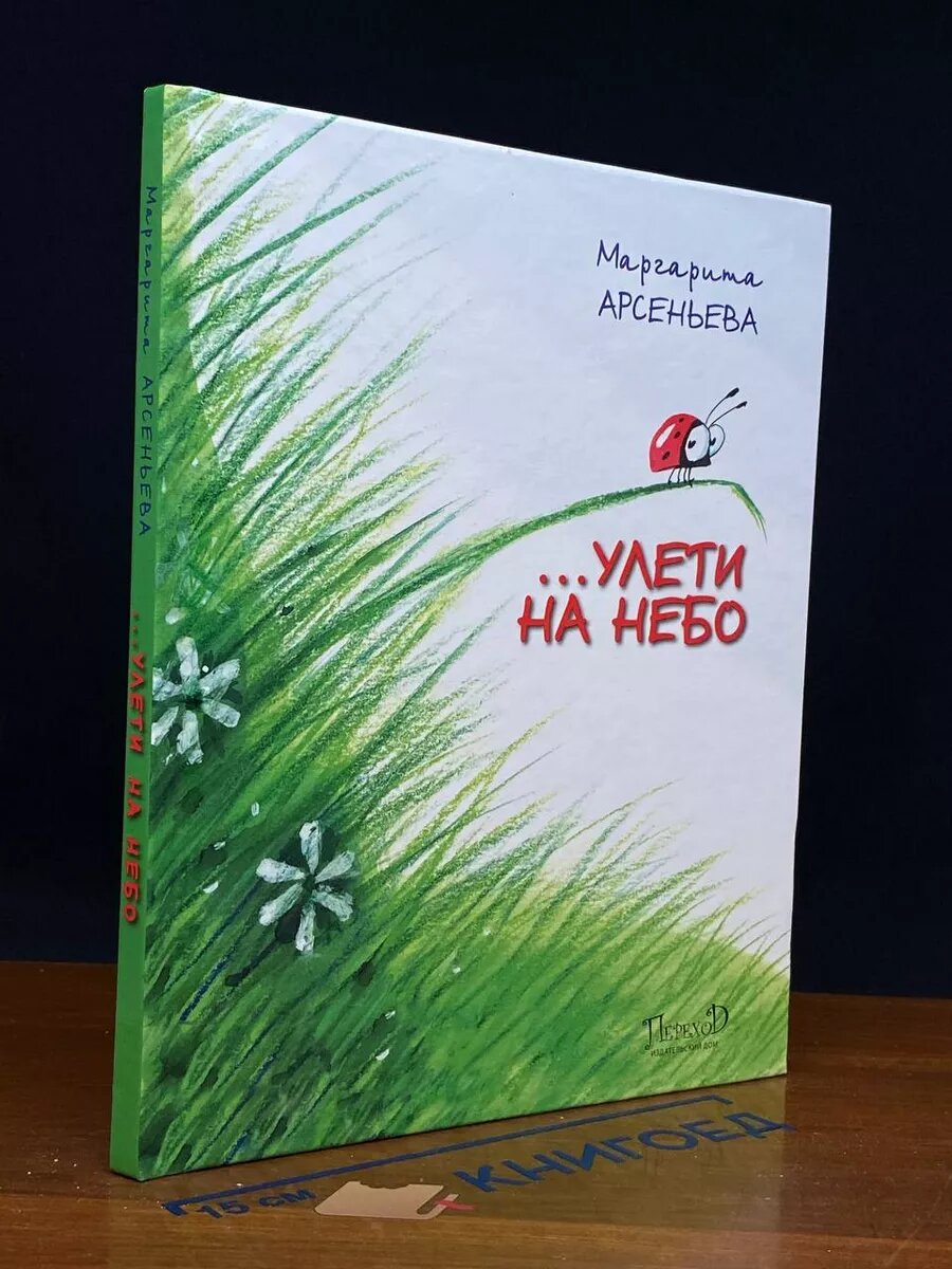 Книга. Улети на небо 2013 (2040928107885)