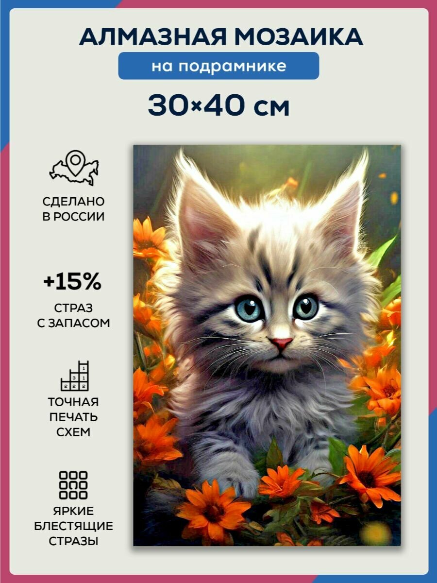 Алмазная мозаика 30x40 Серый котик на подрамнике
