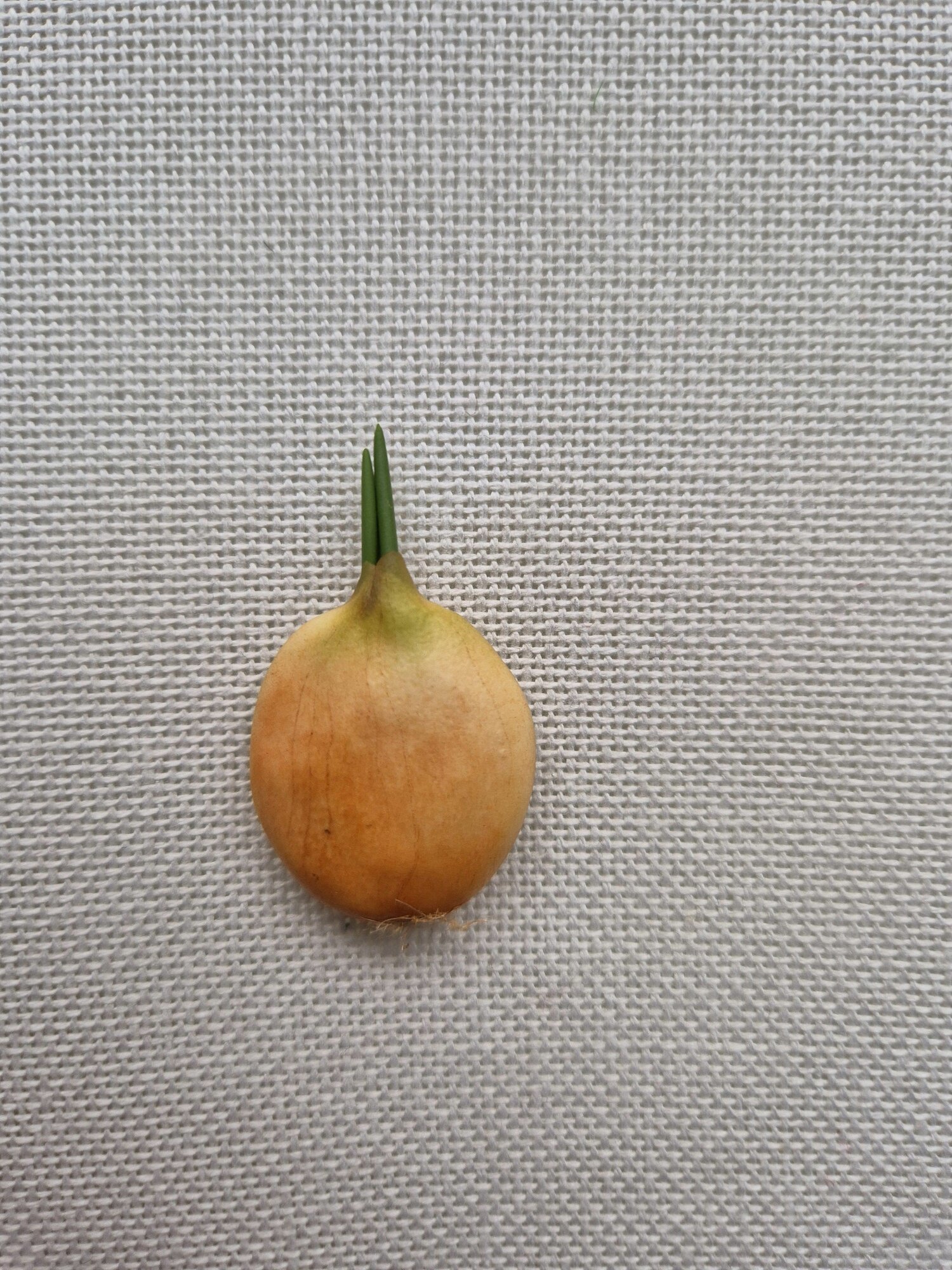 Игольница-магнит/магнитный держатель "Лук"