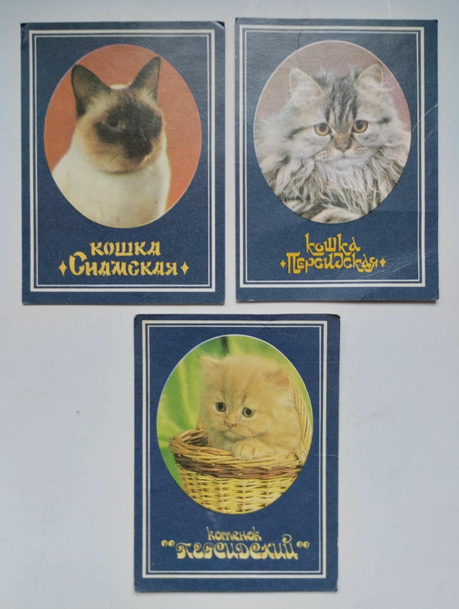Набор карманных календариков СССР. 1989 год. Породы кошек (3 штуки)