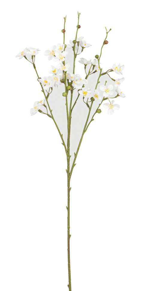 Fiebiger Floristik 203861-100 Ветка декоративная "Миндаль", 71 см