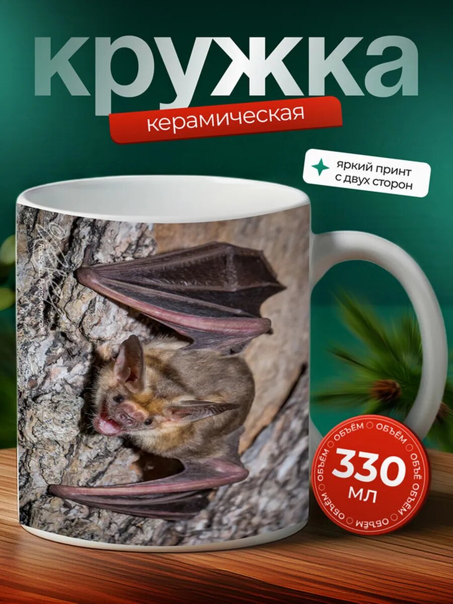 Кружка Летучая мышь животное 14,