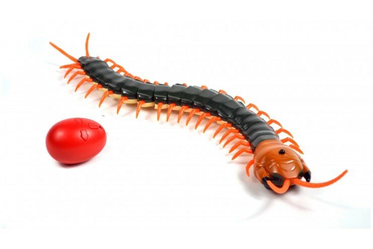 Робот-сороконожка Scolopendra Leyu - LS9901B