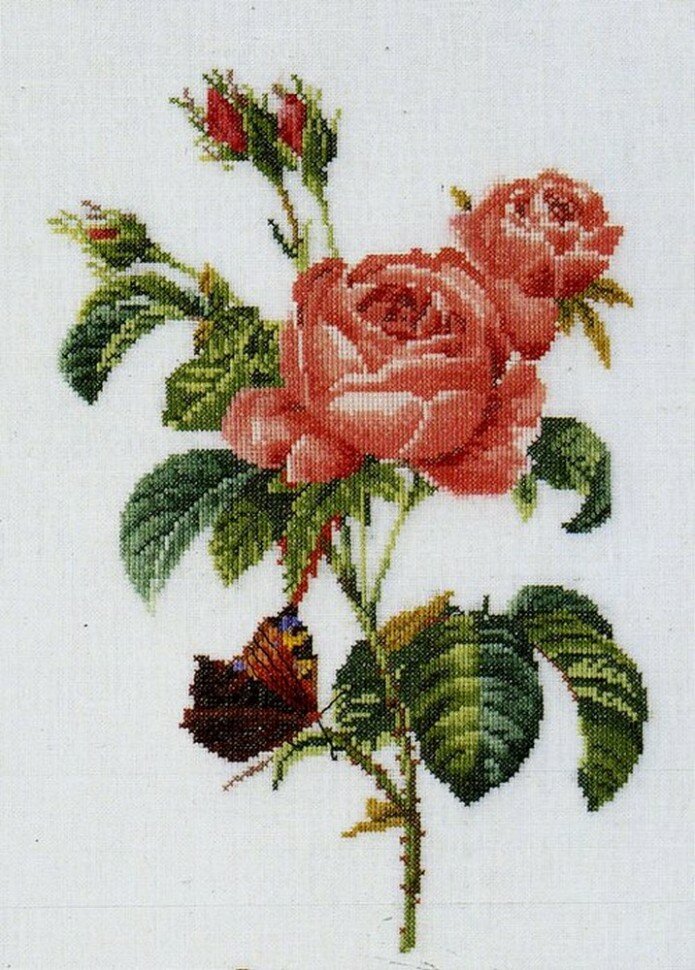 Набор для вышивания Thea Gouverneur #2030 Rose Redoute (Французская роза), Счетный крест, 26 x 38 см