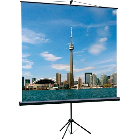 Экран на штативе Lumien Eco View 203x203см
