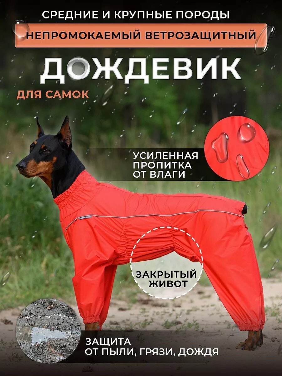 Дождевик для собак мелких пород. Девочка. (35-2 девочка) — фото 1