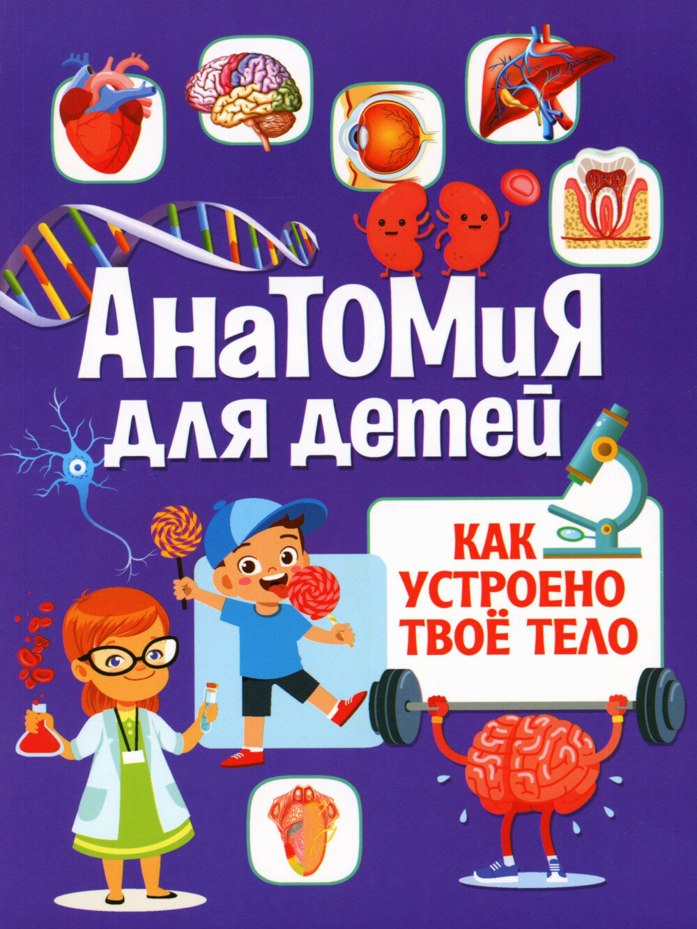 Анатомия для детей. Как устроено твое тело, Владис