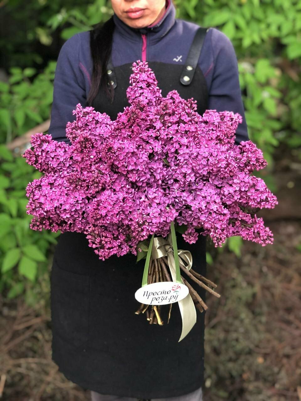 Сирень 15 шт местная d=25 см, h=40 см код. 13722 трес - Простороза. ру