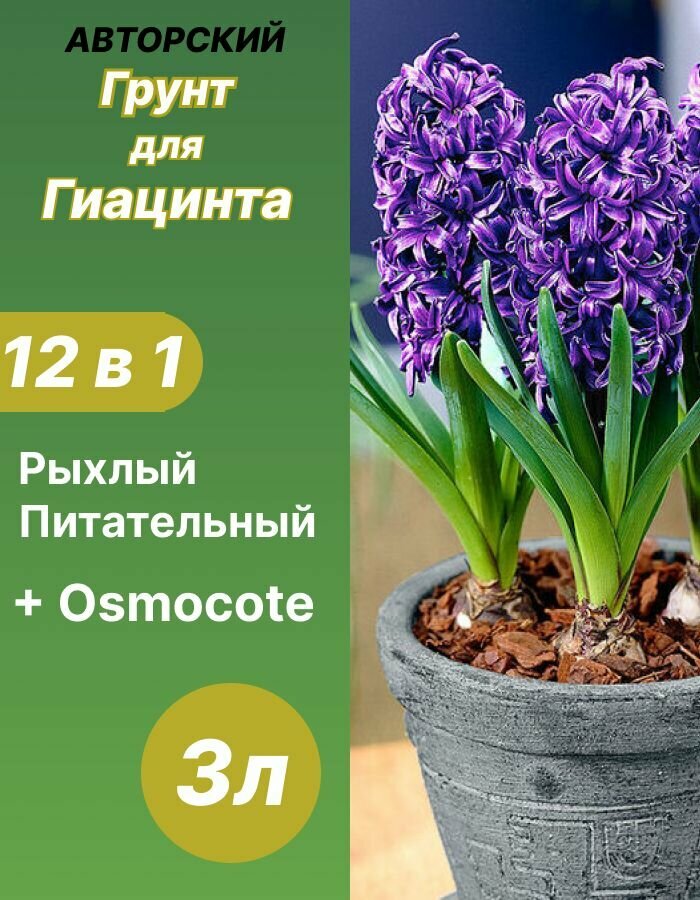 Грунт для Гиацинта готовый 3л